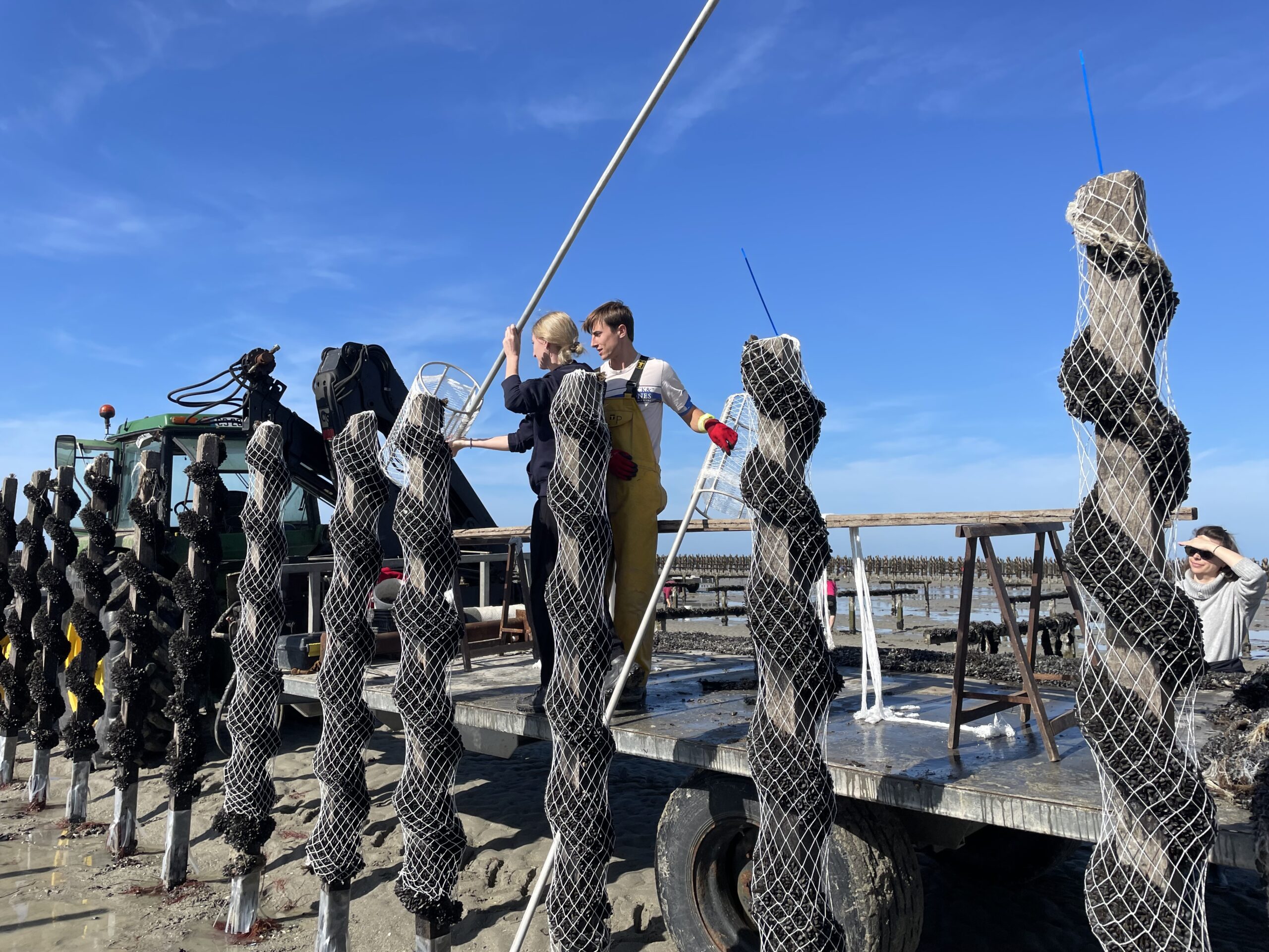 FILL : un filet mytilicole biodégradable pour une aquaculture plus ...